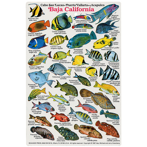 Baja California Fish I.D. Card LB1107 - Scuba