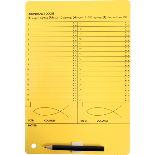 Underwater Fish ID Slate 6" x 9" (15.2 x 22.9 cm) B06 - Scuba