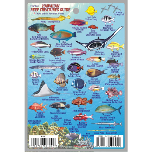 Hawaii Saltwater Fish Identification Chart Guide To Common Reef Fishes