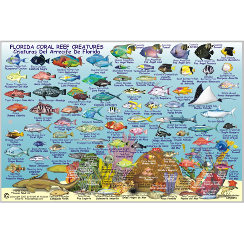 Map Of Central Florida Reefs