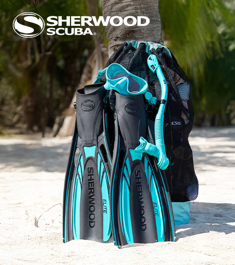 Scuba Diving, Snorkeling & Underwater Gear | Scuba