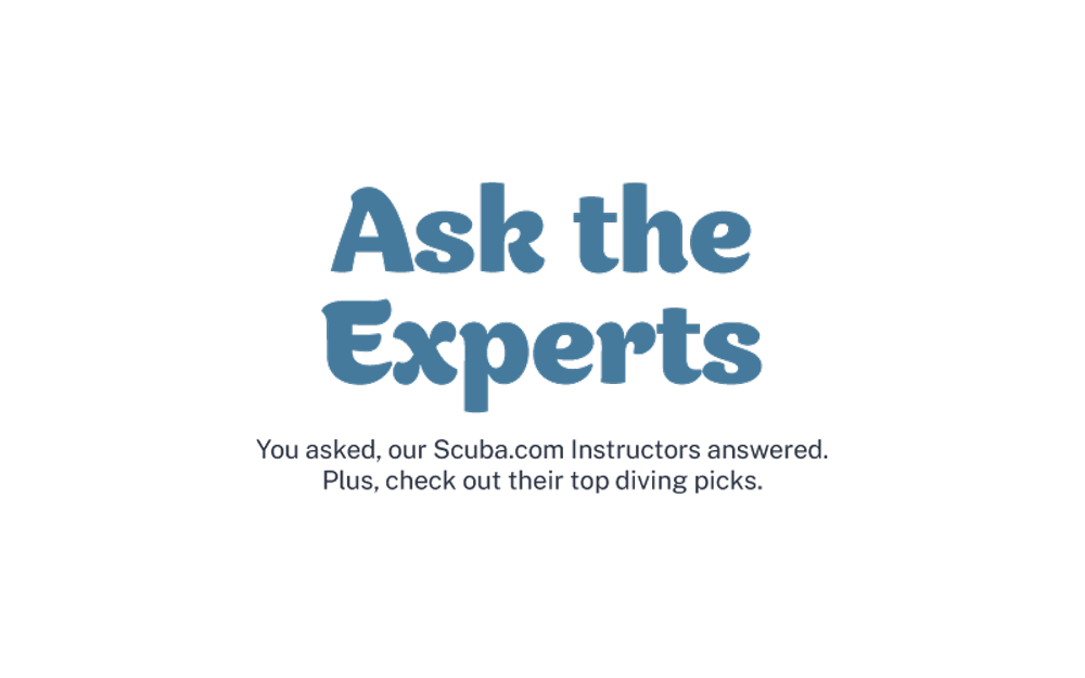 Ask the Experts - Top Picks from our Scuba Instructors | Scuba