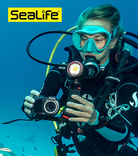 Holiday Deals on Scuba, Snorkeling & Water Sports Gear | Scuba