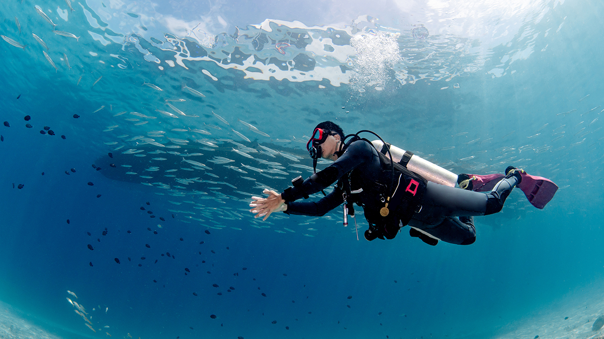 Celebrity Scuba Divers: The Fish Don't Know Them but You Will
