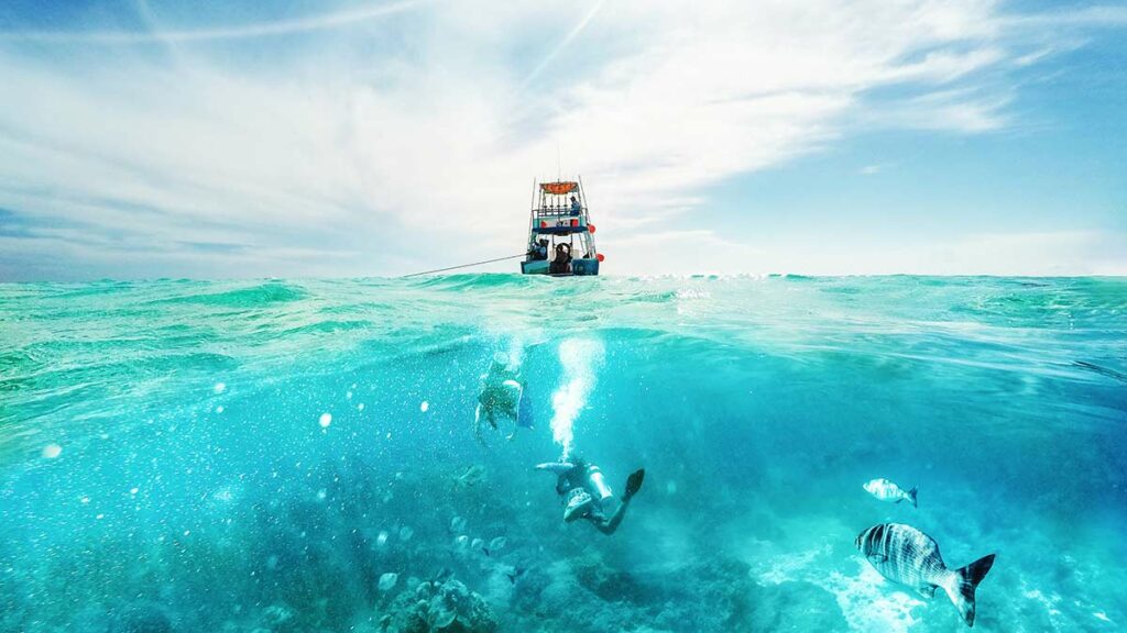 Ultimate Guide to Spearfishing - Scuba.com