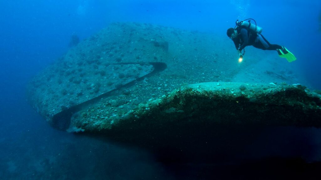 7 Symbiotic Relationship Examples in the Ocean - Scuba.com