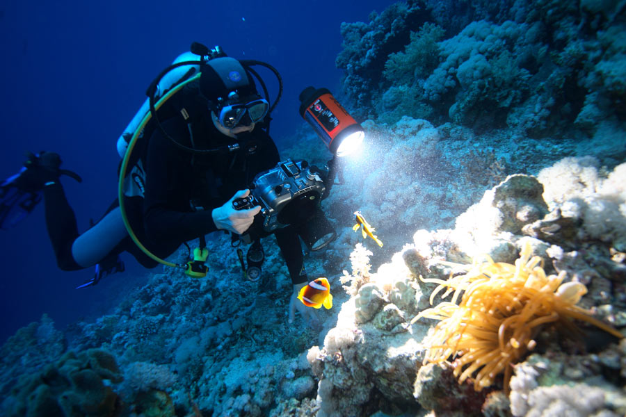 The Must-Have Versatile Scuba Pointer Stick - DeepDive