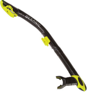 A Brief Look at Types of Snorkels
