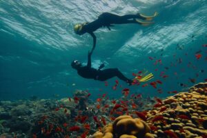 How to Freedive: The Basics of Freediving - Scuba.com