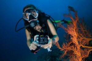 Scuba Diving Equipment List: Items for Your Dive - Scuba.com