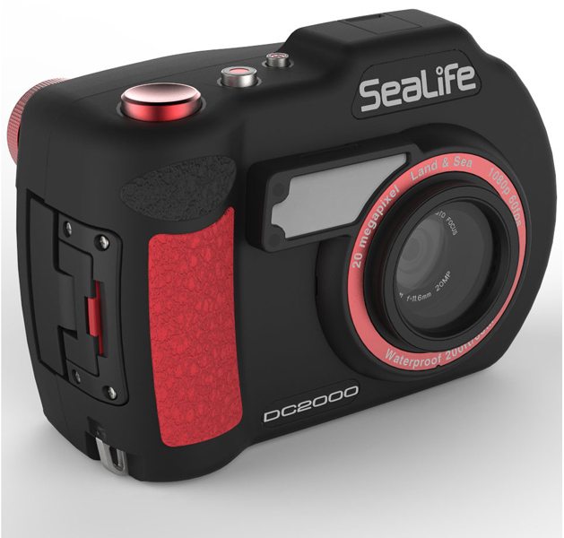 Best Underwater Cameras for Scuba Diving in 2018