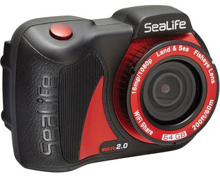 Best Underwater Cameras for Scuba Diving in 2018