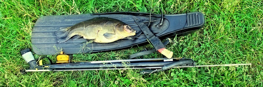 Spearfishing Equipment List: Everything You Need to Get Started - Scuba.com