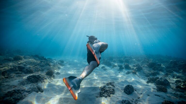 Best Snorkeling Fins in 2026 - Scuba.com
