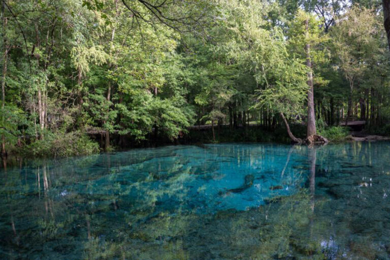 8 Most Exciting Cave Diving Locations in Florida - Scuba.com