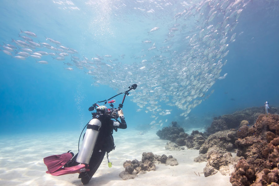 Best Palawan Diving Destinations - AquaViews - Leisure Pro