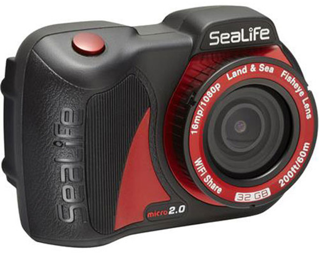 Beginner's Guide to Underwater Photography Equipment - DeepDive