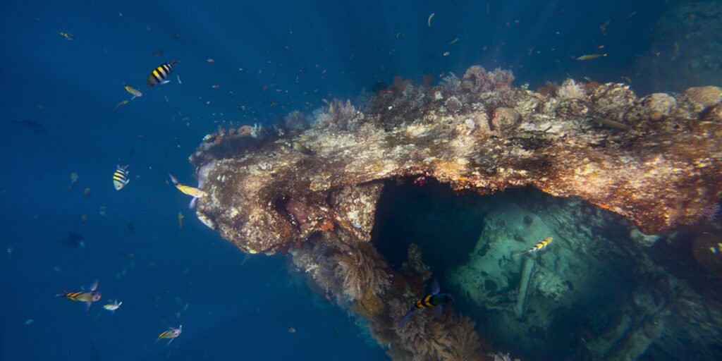 Best Scuba Diving Locations & Destinations In The World [2019]