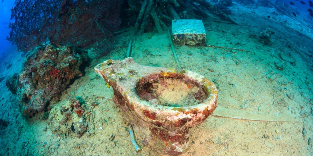 Best Scuba Diving Locations & Destinations In The World [2019]
