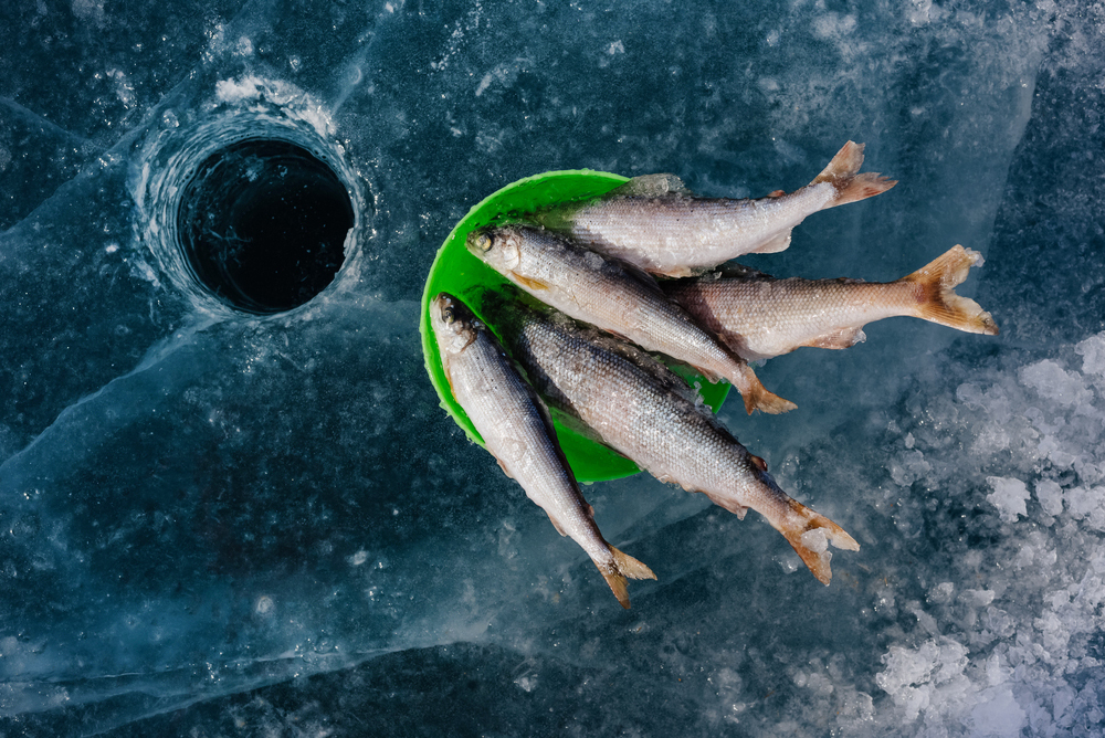Ice Fishing for Pike: How to Get Started - Scuba.com