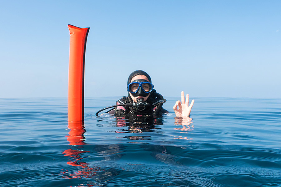 5 Must-Have BCD Clip-On Scuba Diving Accessories - AquaViews