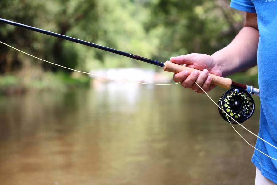 Types of Fishing Rods: A Primer for Beginners - Scuba.com