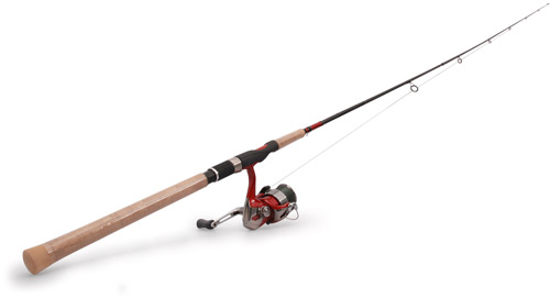 How to Catch Catfish: Gear, Bait & Fishing Techniques - DeepDive