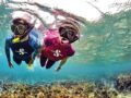 Scuba & Snorkeling Fins: Guide to Types & Fit - Scuba.com