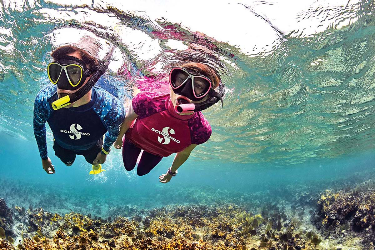 Snorkeling Buying Guide: Tips for Choosing the Best Masks & Snorkels ...