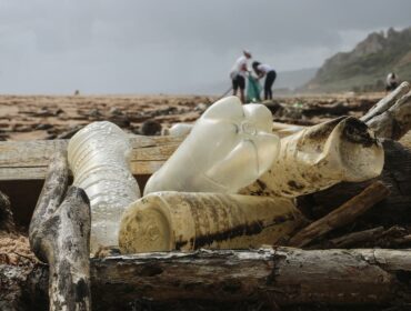 Coral Reef Destruction: 5 Common Causes of Coral Degradation