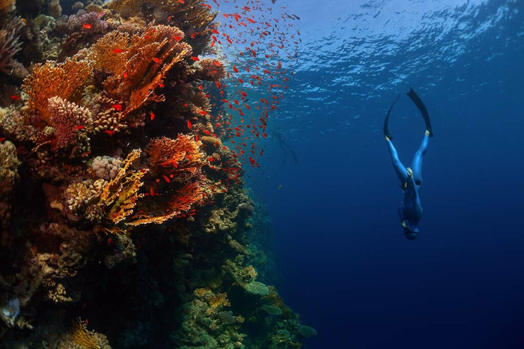 Freediving: A Beginner's Guide - Scuba.com