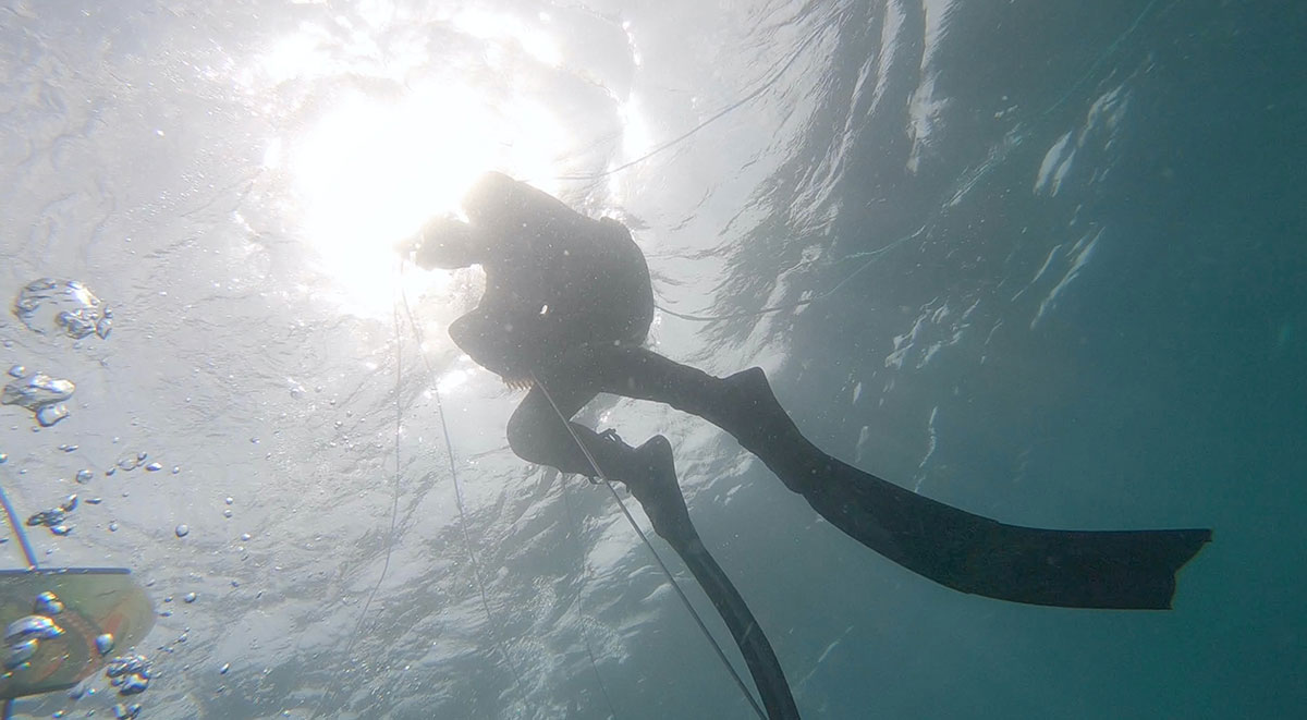 Freediving: A Beginner's Guide - Scuba.com