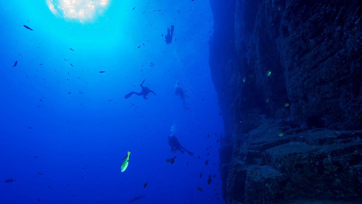 The Best Places for Scuba Diving in Mexico - DeepDive