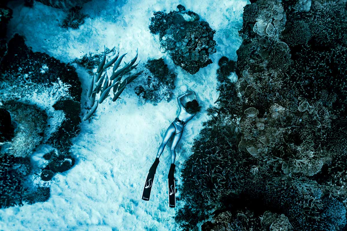 Freediving Equipment Guide: Gear You Need to Start - Scuba.com