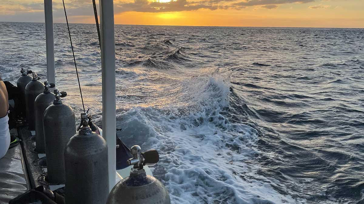 Liveaboard Diving Guide: Planning Your Scuba Trip - Scuba.com