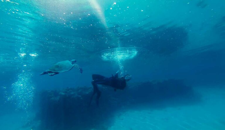 Drift Diving: Everything You Need to Know - Scuba.com