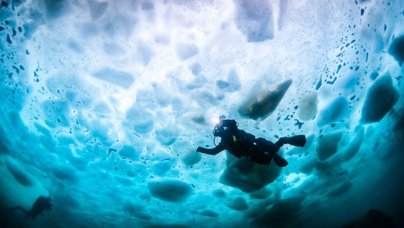 Ice Diving: Guide to Submerging into an Arctic Wonderland - Scuba.com
