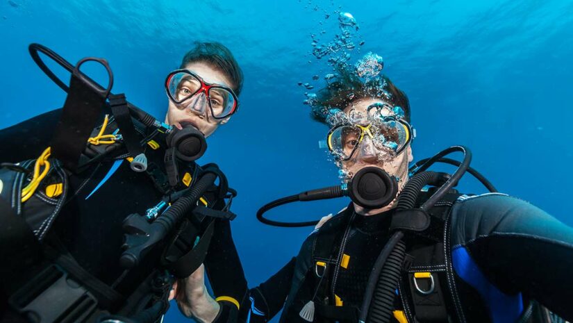 Understanding the Scuba Diving Regulator & Octos - Scuba.com