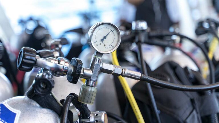 Understanding the Scuba Diving Regulator & Octos - Scuba.com