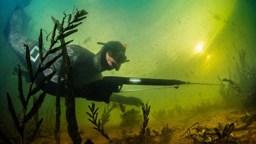 Spearfishing Masks to Enhance Your Dive Experience - Scuba.com