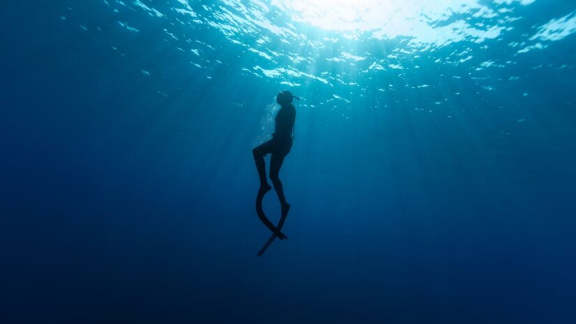 Selecting the Ideal Freediving Fins for Your Adventures - Scuba.com