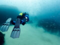 8 Finning & Kicking Techniques for Scuba Diving - Scuba.com