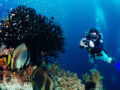 How To Complete A 5 Point Scuba Ascent Rate - Scuba.com