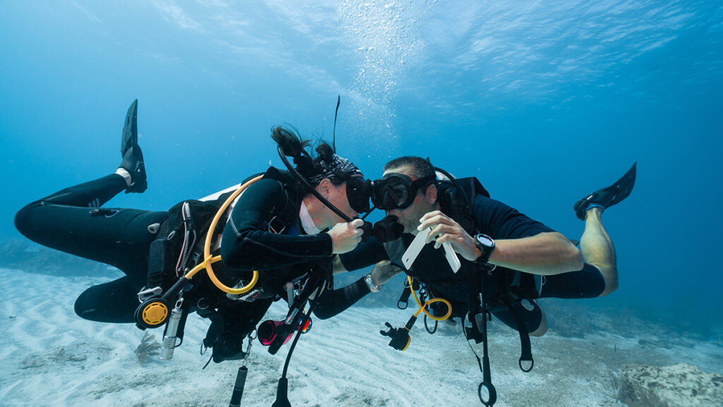 Beginner’s Guide to Dive Safety - Scuba.com