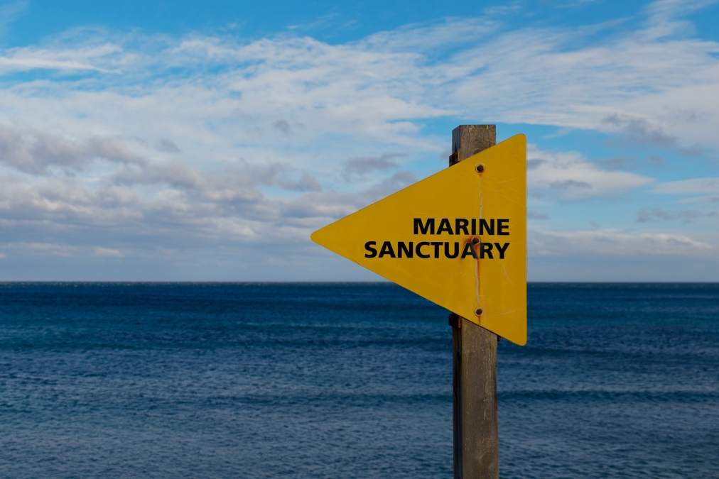 Understanding Marine Protected Areas (MPAs) - Scuba.com