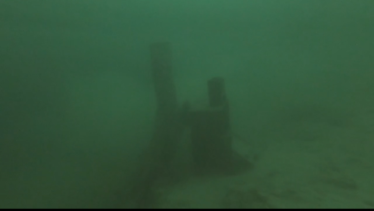 Low Visibility Diving: A Look at Public Safety - Scuba.com