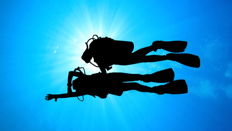 Underwater Navigation: Natural and Compass Skills - Scuba.com