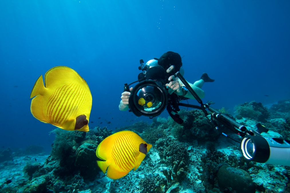 Solo Scuba Diving vs. Buddy System: Pros, Cons, Safety Tips ...